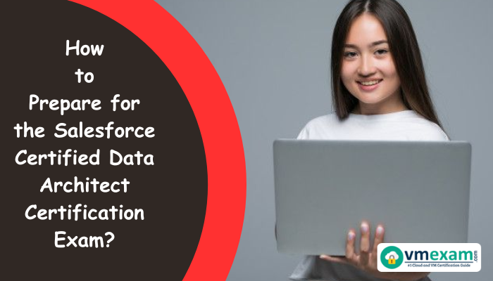 Excel In Salesforce Data Architect Certification Exam Vmexam